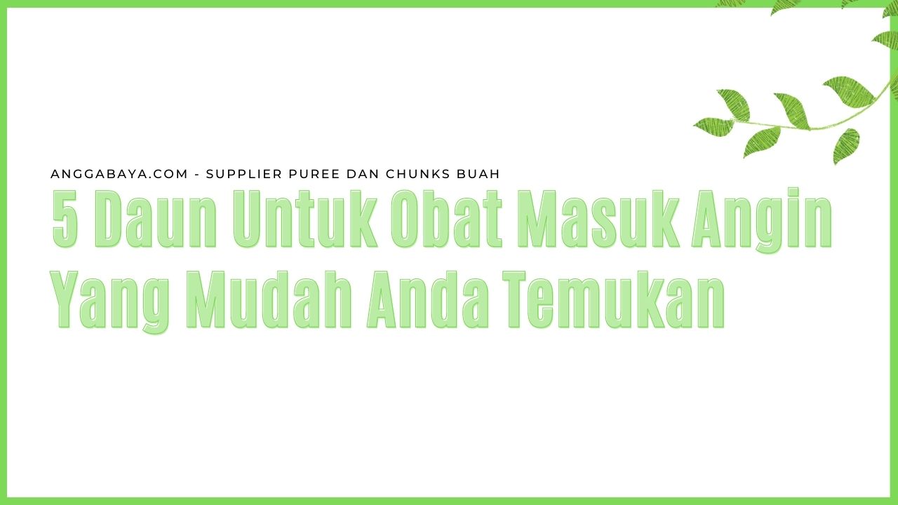 5 Daun Untuk Obat Masuk Angin Yang Mudah Anda Temukan – Anggabaya